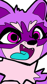 zee the raccoon shop – zeetheraccoon